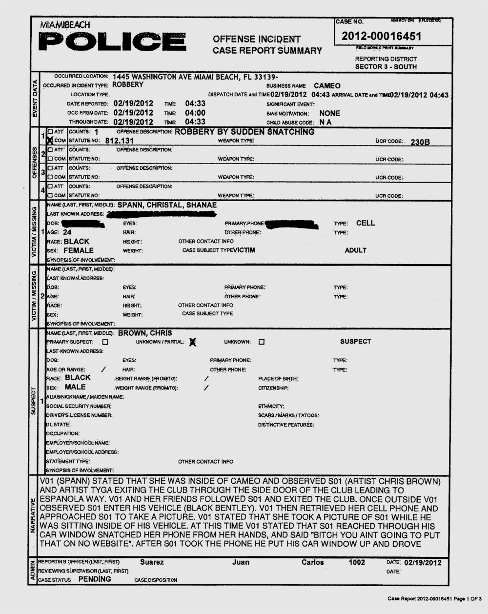 Police Report Template - Free Printable Documents